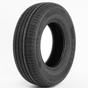 Pneu 245/70R16 Aro 16 DOUBLE KING DK365 107H