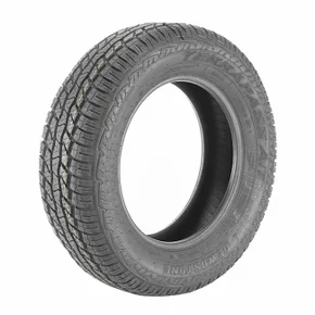 Pneu 215/65R16 Aro 16 DEWOSTONE WR9001 A/T 98T